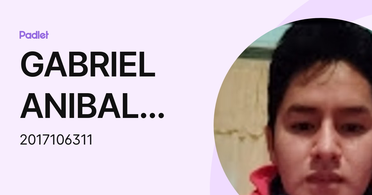 GABRIEL ANIBAL LOPEZ PEDRO (2017106311) profile | Padlet
