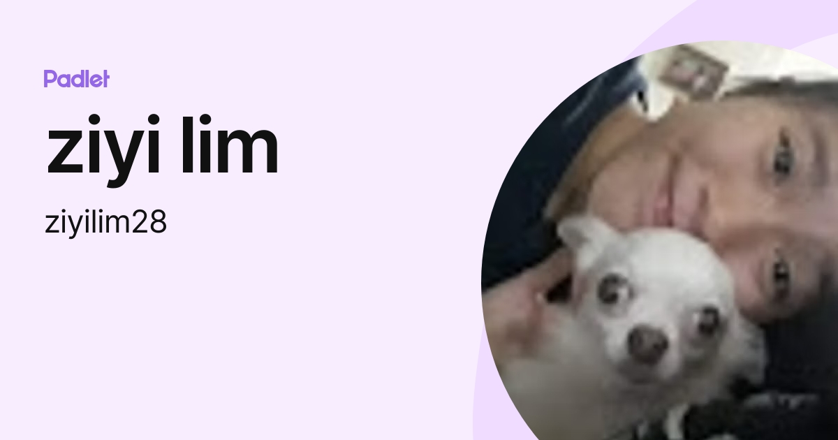 ziyi lim (ziyilim28) profile | Padlet
