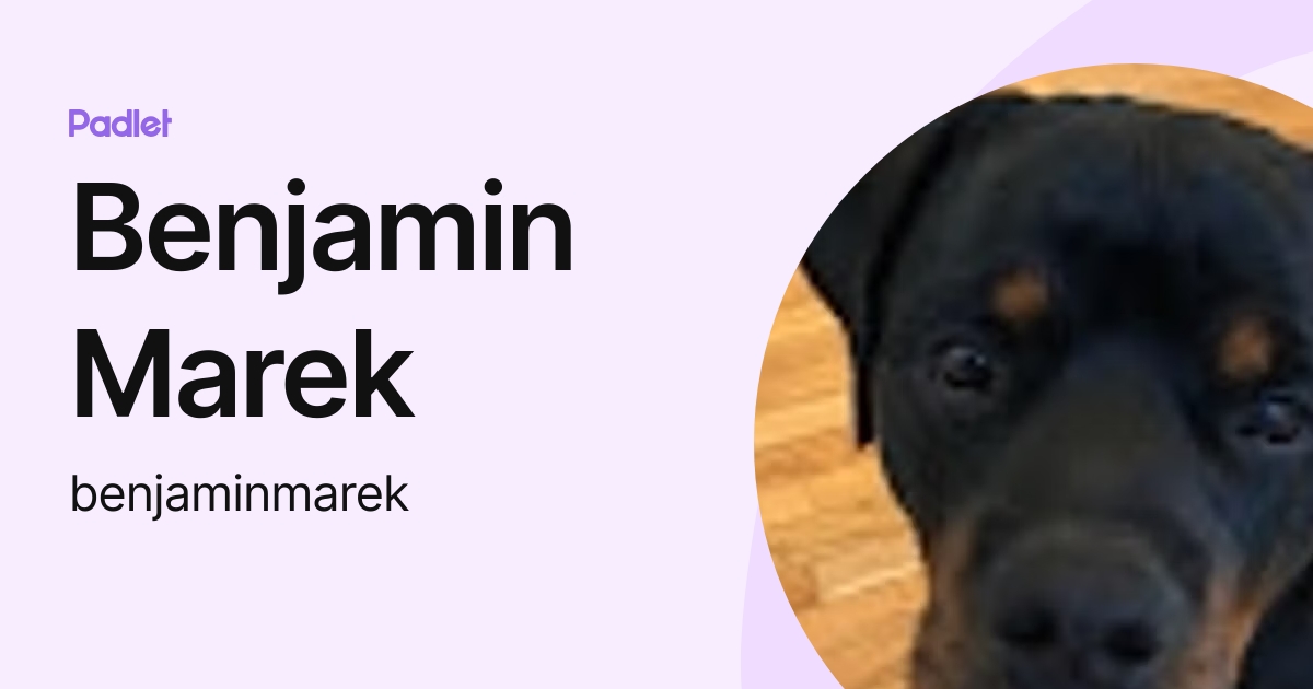 Benjamin Marek (benjaminmarek) profile | Padlet