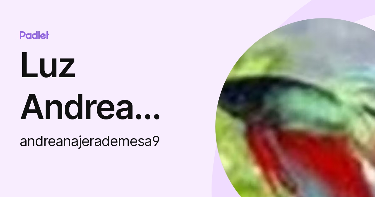 Luz Andrea Najera Demesa (andreanajerademesa9) profile | Padlet