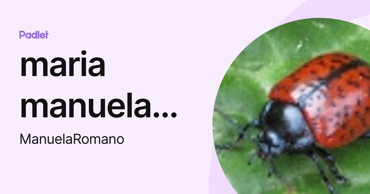 maria manuela Romano (ManuelaRomano) profile | Padlet