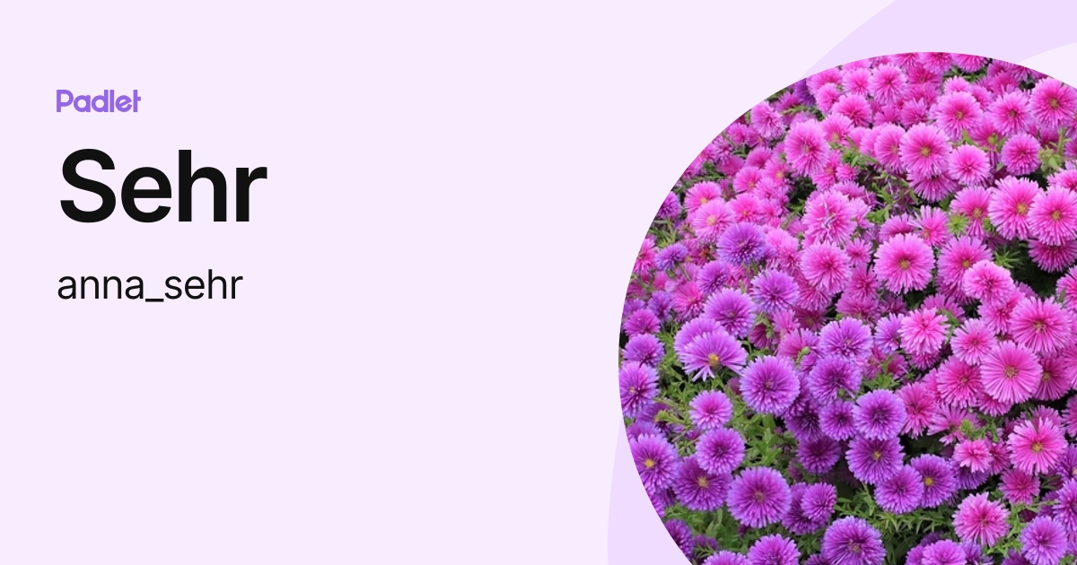 Sehr (anna_sehr) profile | Padlet