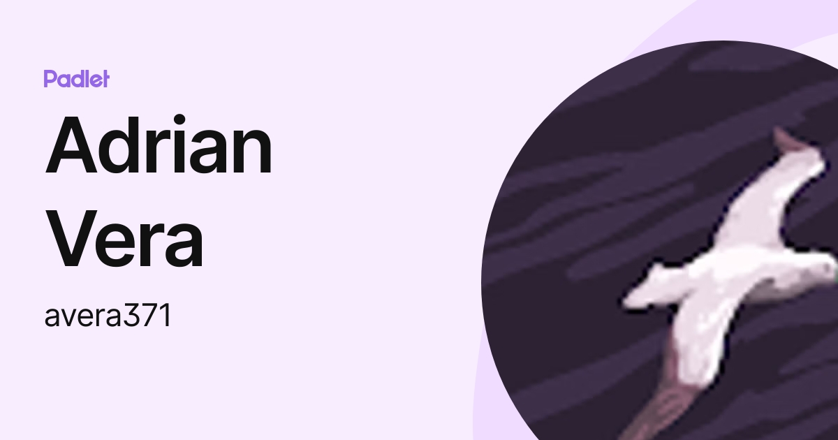 Adrian Vera (avera371) profile | Padlet