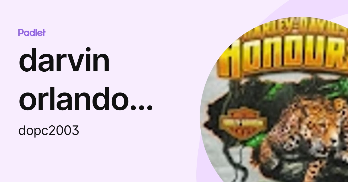 darvin orlando palomo castillo (dopc2003) profile | Padlet