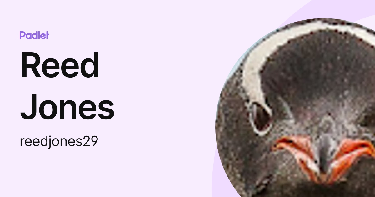 Reed Jones (reedjones29) profile | Padlet