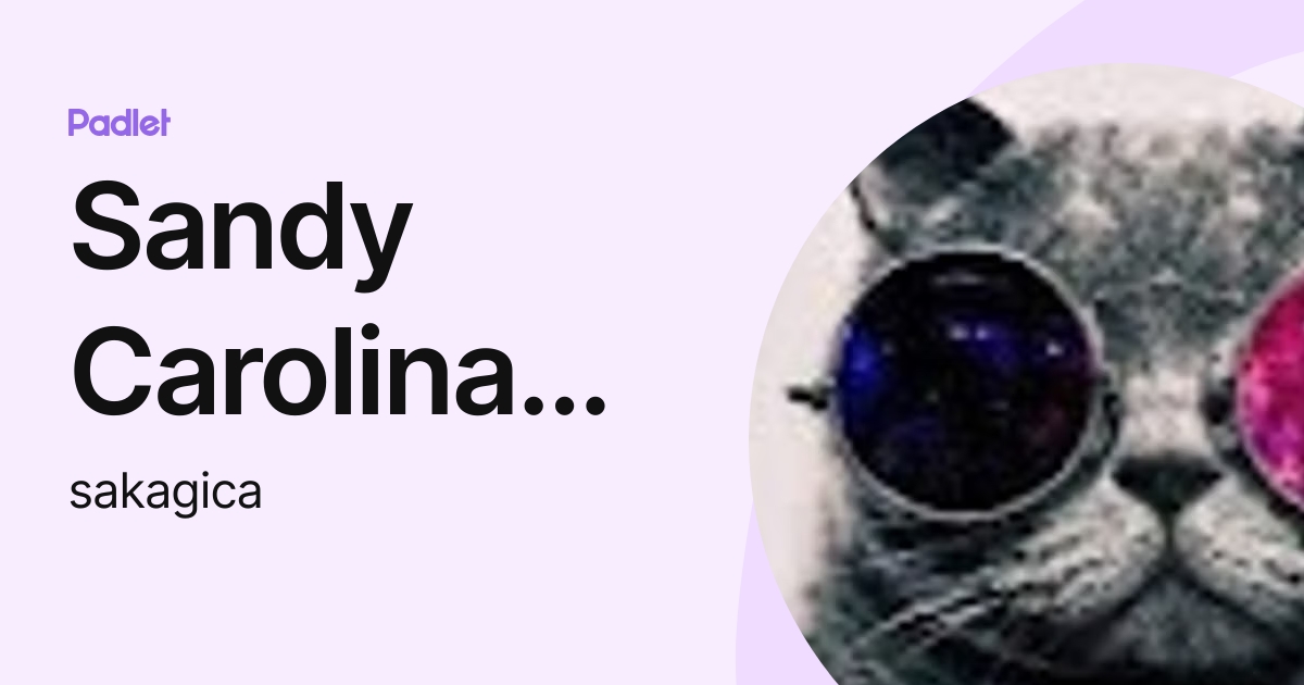 Sandy Carolina Alarcon Sáenz (sakagica) profile | Padlet