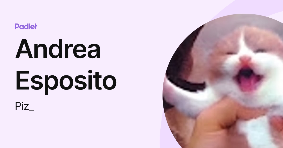 Andrea Esposito (Piz_) profile | Padlet