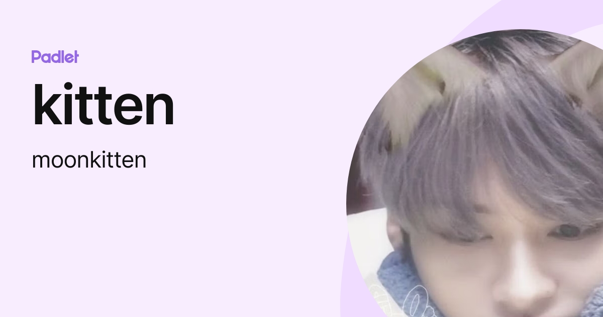 kitten (moonkitten) profile | Padlet