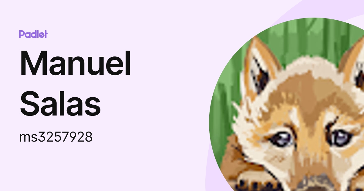 Manuel Salas (ms3257928) profile | Padlet