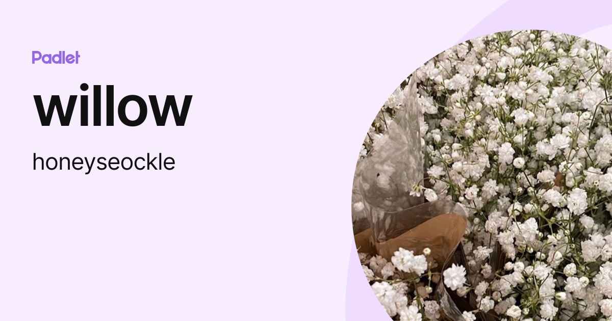 willow (honeyseockle) profile | Padlet
