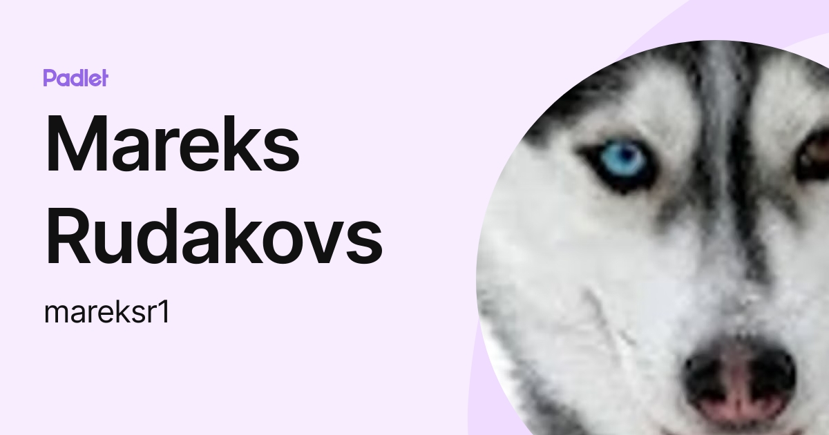 Mareks Rudakovs (mareksr1) profile | Padlet