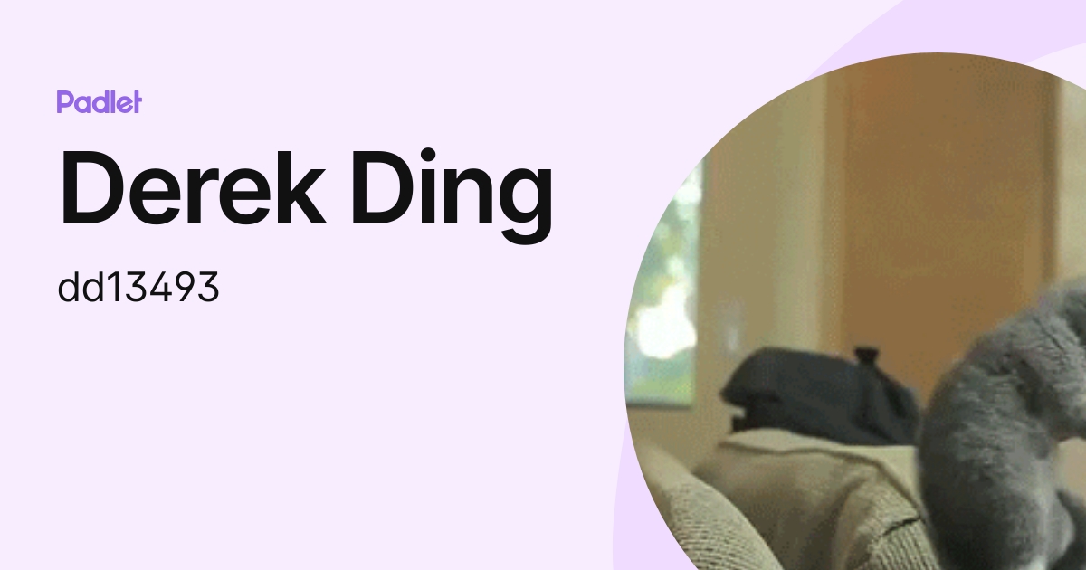 Derek Ding (dd13493) profile | Padlet