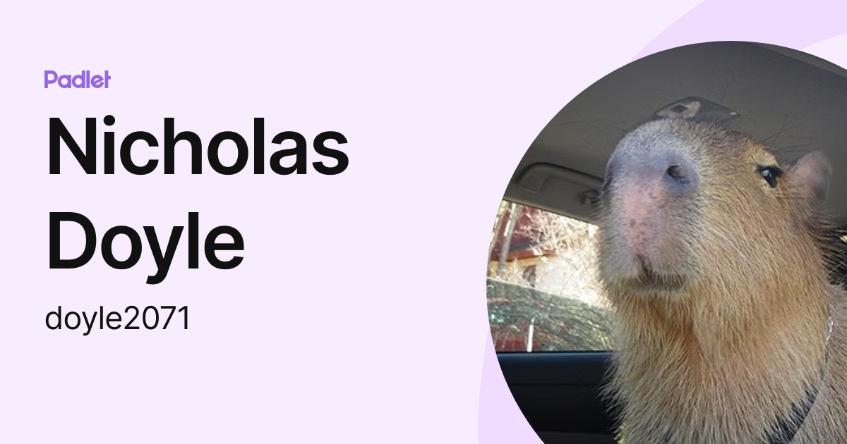 Nicholas Doyle (doyle2071) profile | Padlet