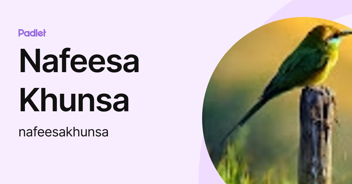 Nafeesa Khunsa (nafeesakhunsa) profile | Padlet