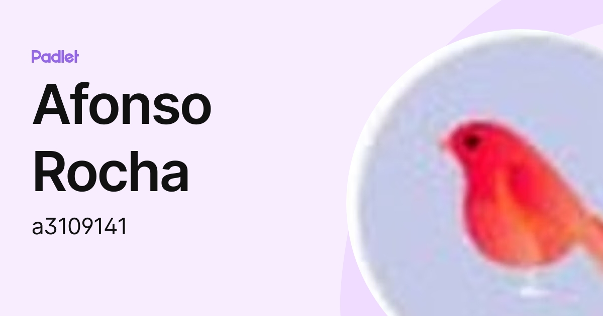 Afonso Rocha (a3109141) profile | Padlet