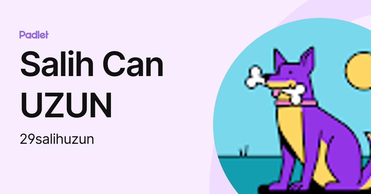 Salih Can UZUN (29salihuzun) profile | Padlet