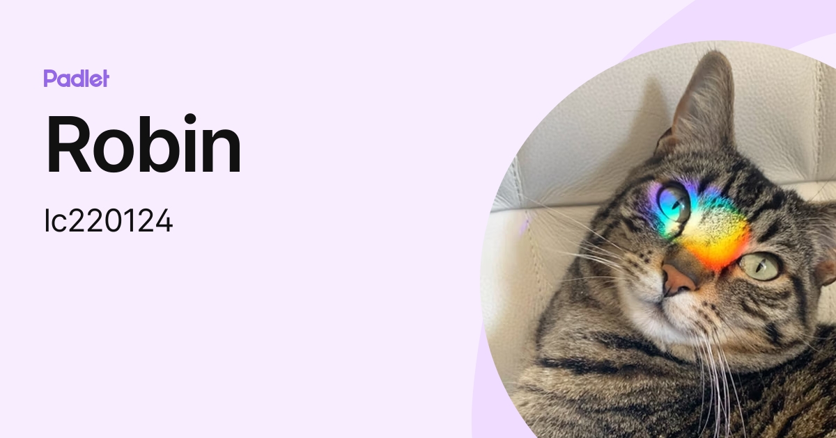 Robin (lc220124) profile | Padlet