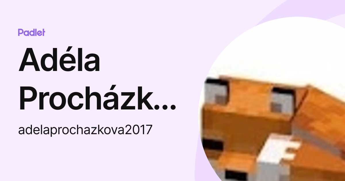 Adéla Procházková (adelaprochazkova2017) profile | Padlet