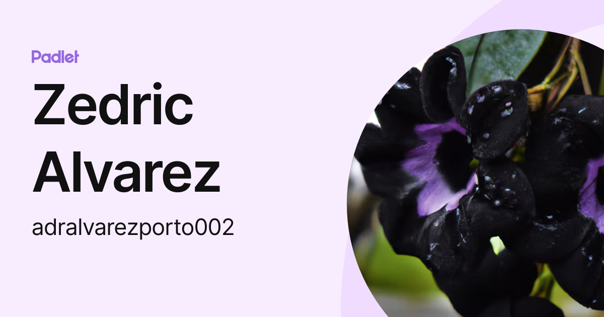 Zedric Alvarez (adralvarezporto002) profile | Padlet