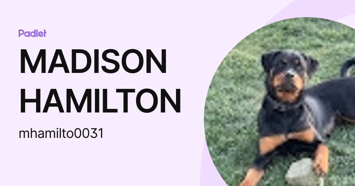 MADISON HAMILTON (mhamilto0031) profile | Padlet