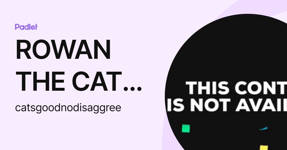 ROWAN THE CAT LOVER (catsgoodnodisaggree) profile | Padlet