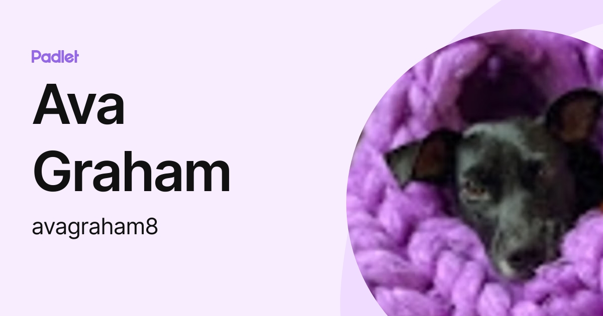 Ava Graham (avagraham8) profile | Padlet