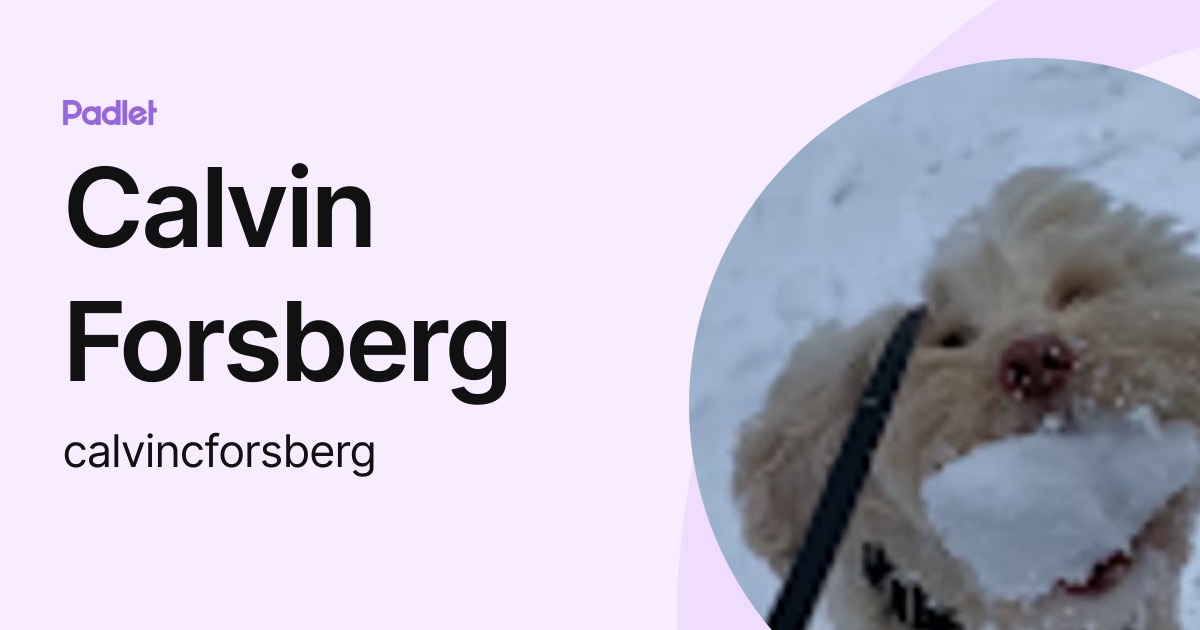 Calvin Forsberg (calvincforsberg) profile | Padlet