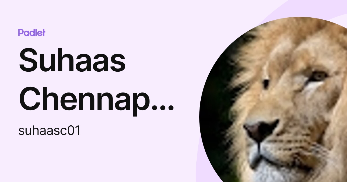 Suhaas Chennapragada (suhaasc01) profile | Padlet