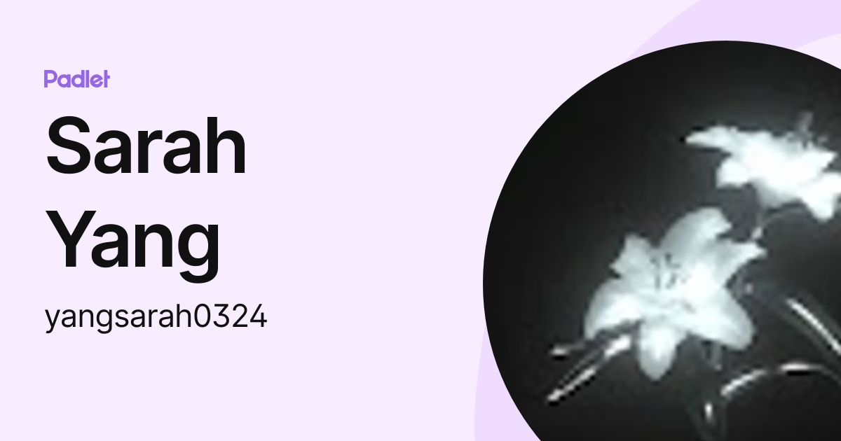 Sarah Yang (yangsarah0324) profile | Padlet