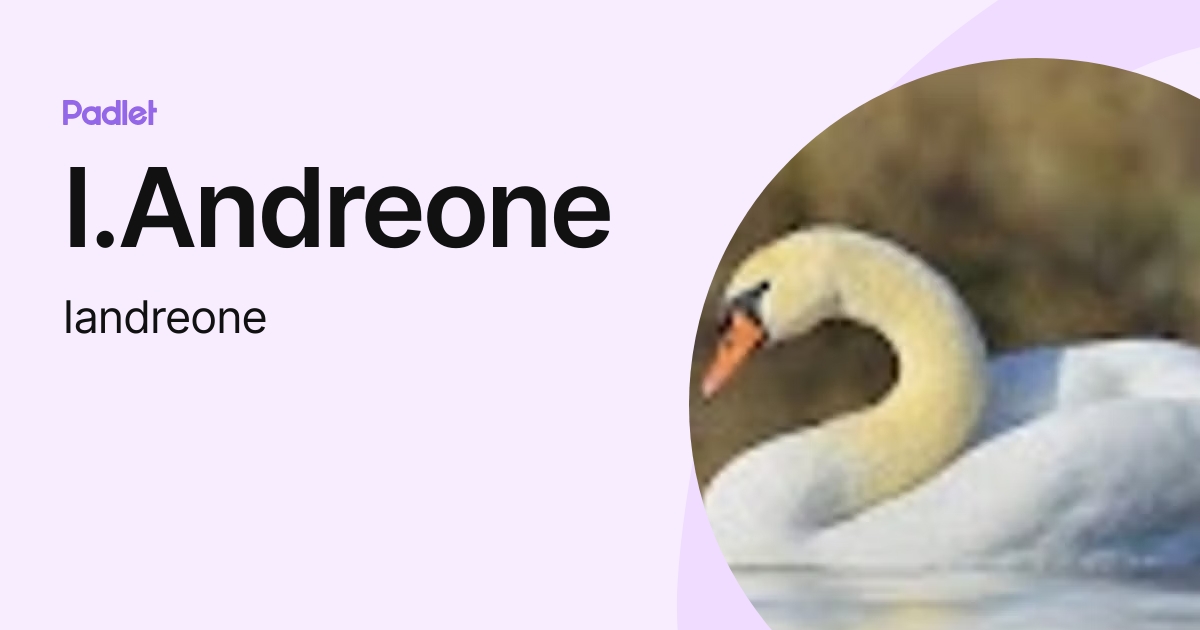 I.Andreone (Iandreone) profile | Padlet