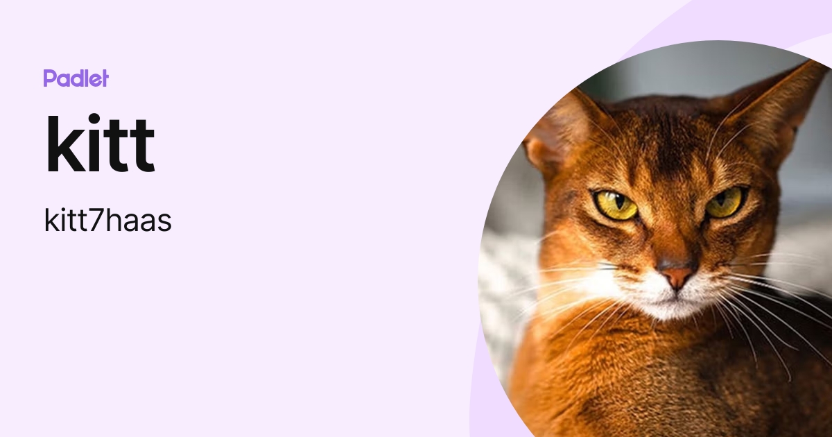 kitt (kitt7haas) profile | Padlet