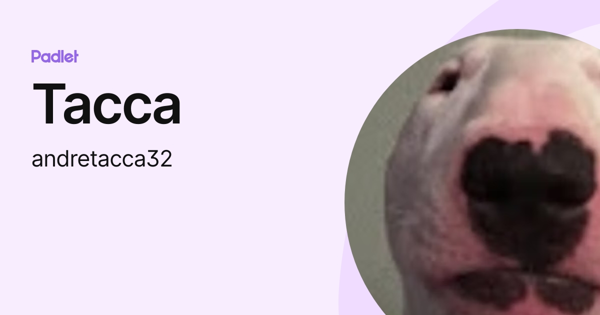 Tacca (andretacca32) profile | Padlet