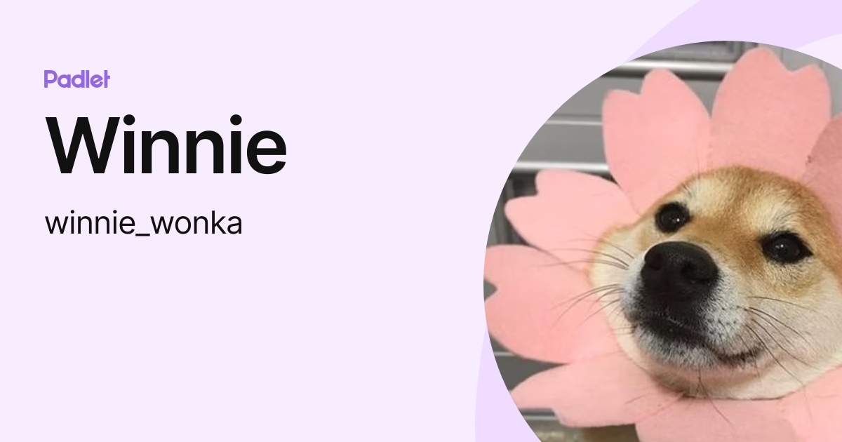 Winnie (winnie_wonka) profile | Padlet