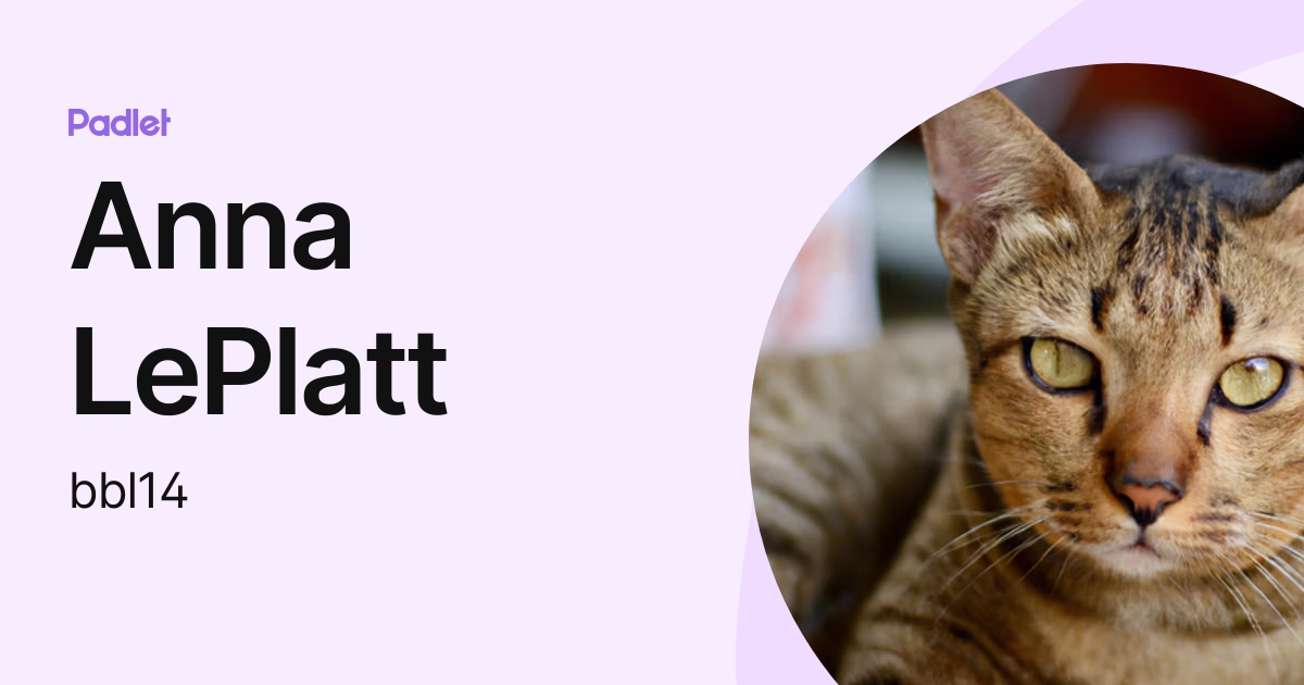 Anna LePlatt (bbl14) profile | Padlet