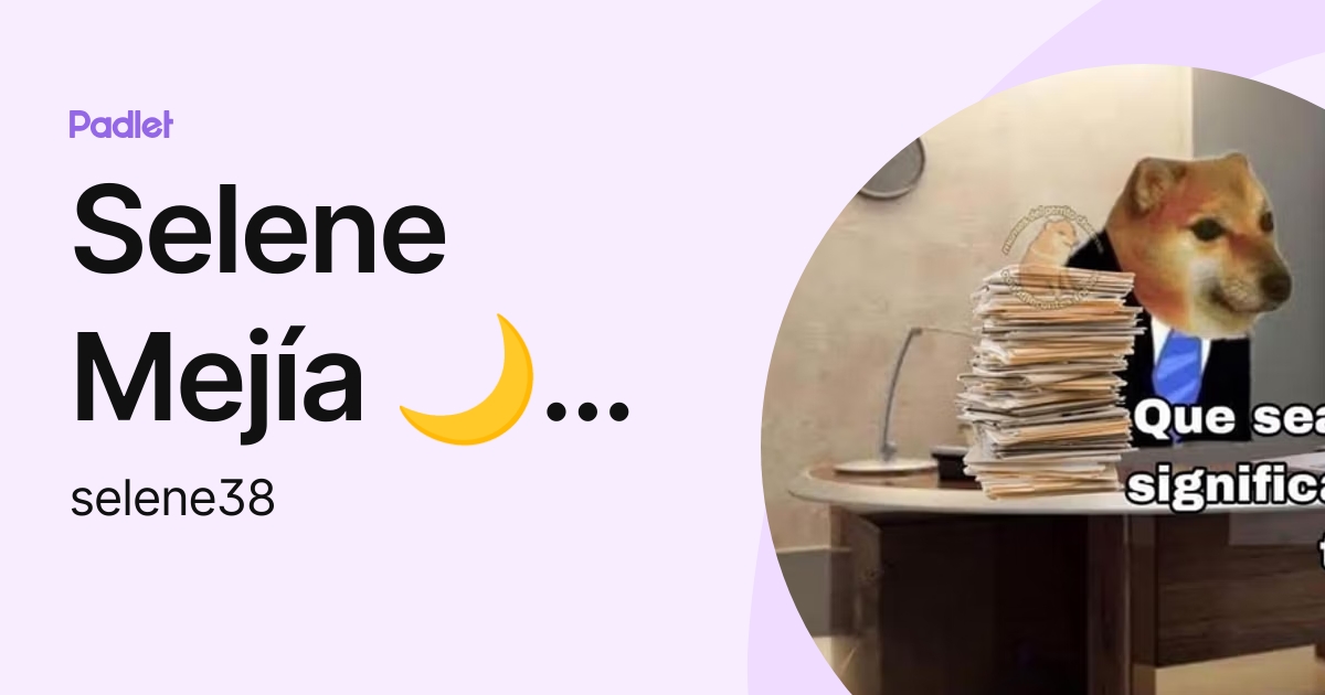Selene Mejía (selene38) profile | Padlet