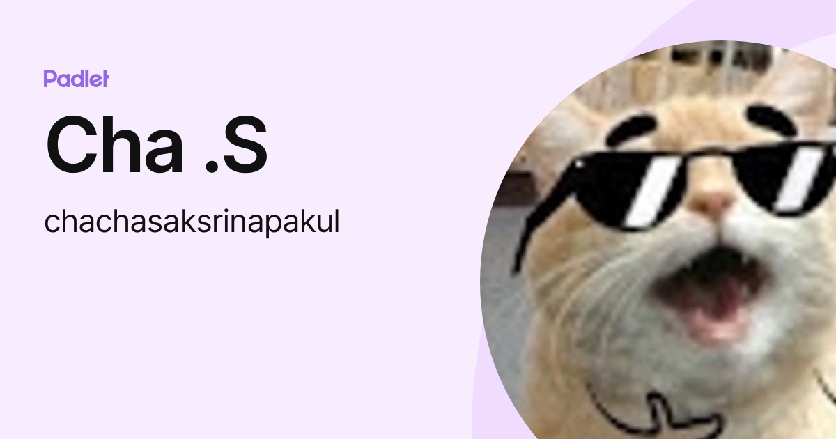 Cha .S (chachasaksrinapakul) profile | Padlet