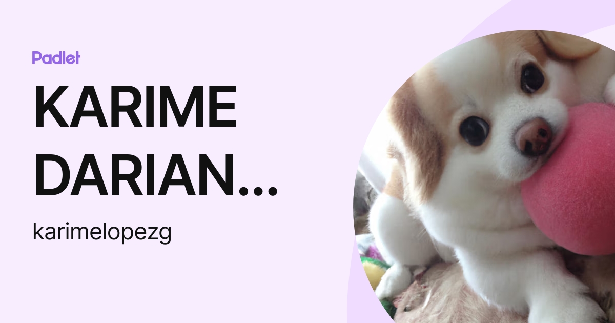 KARIME DARIAN LOPEZ GONZALEZ (karimelopezg) profile | Padlet