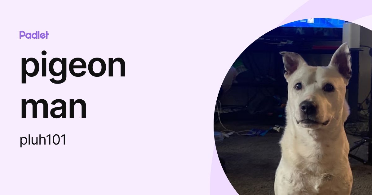 pigeon man (pluh101) profile | Padlet