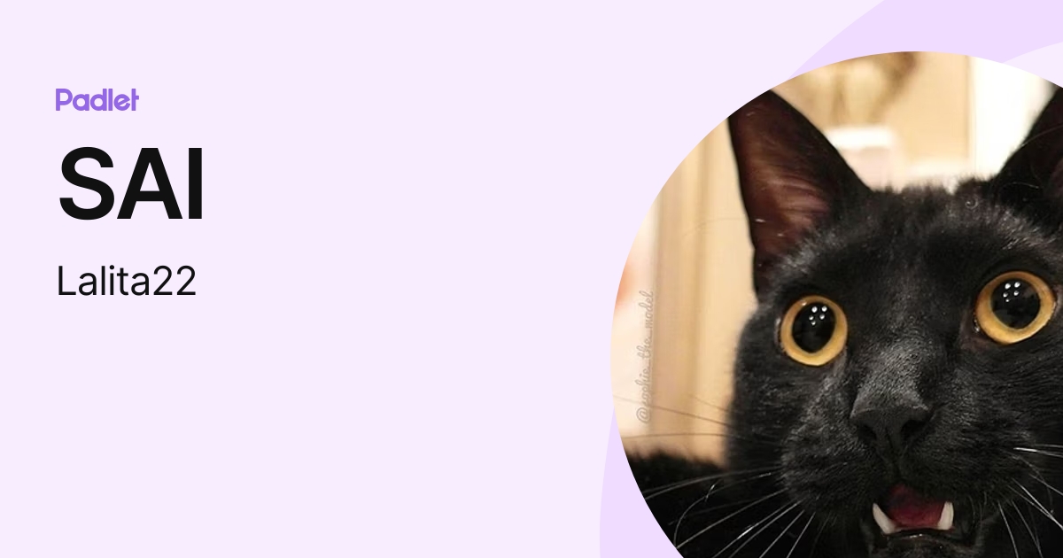 SAI (Lalita22) profile | Padlet