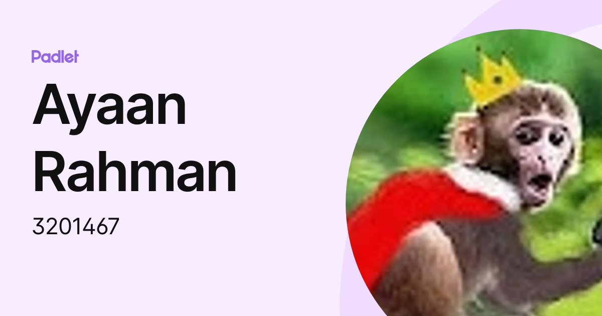 Ayaan Rahman (3201467) profile | Padlet