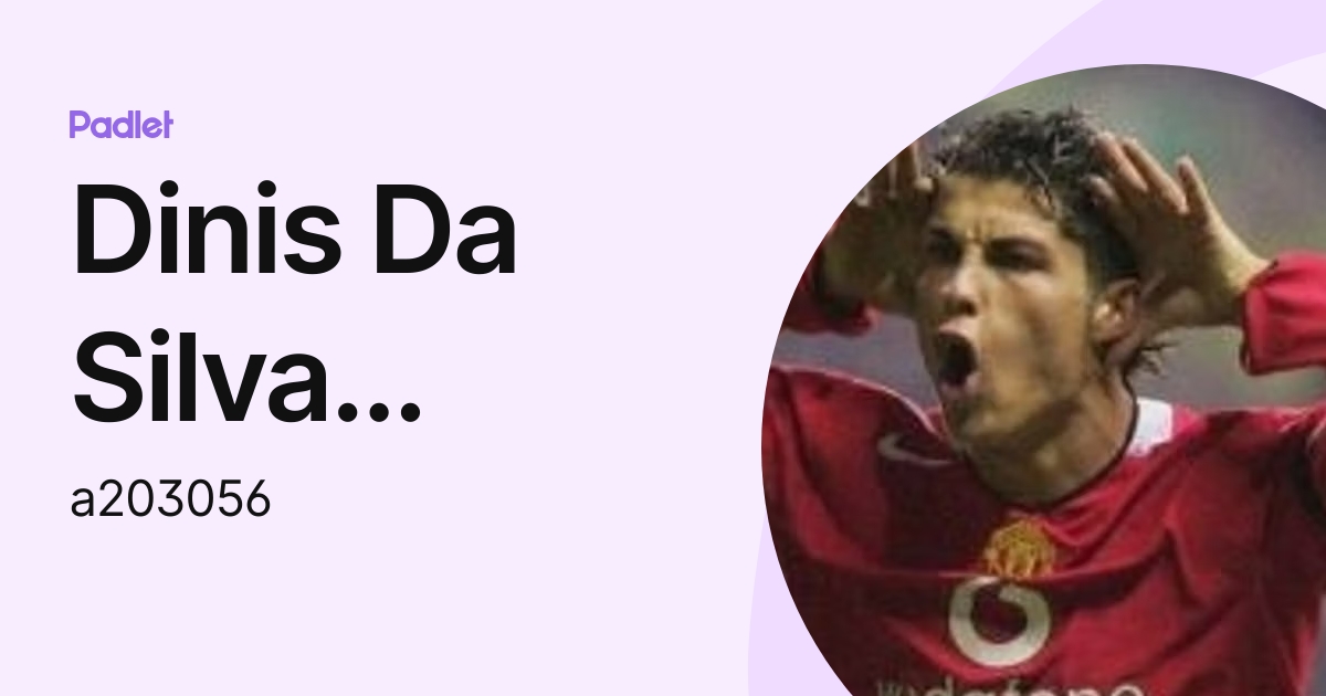 Dinis Da Silva Fernandes (a203056) profile | Padlet