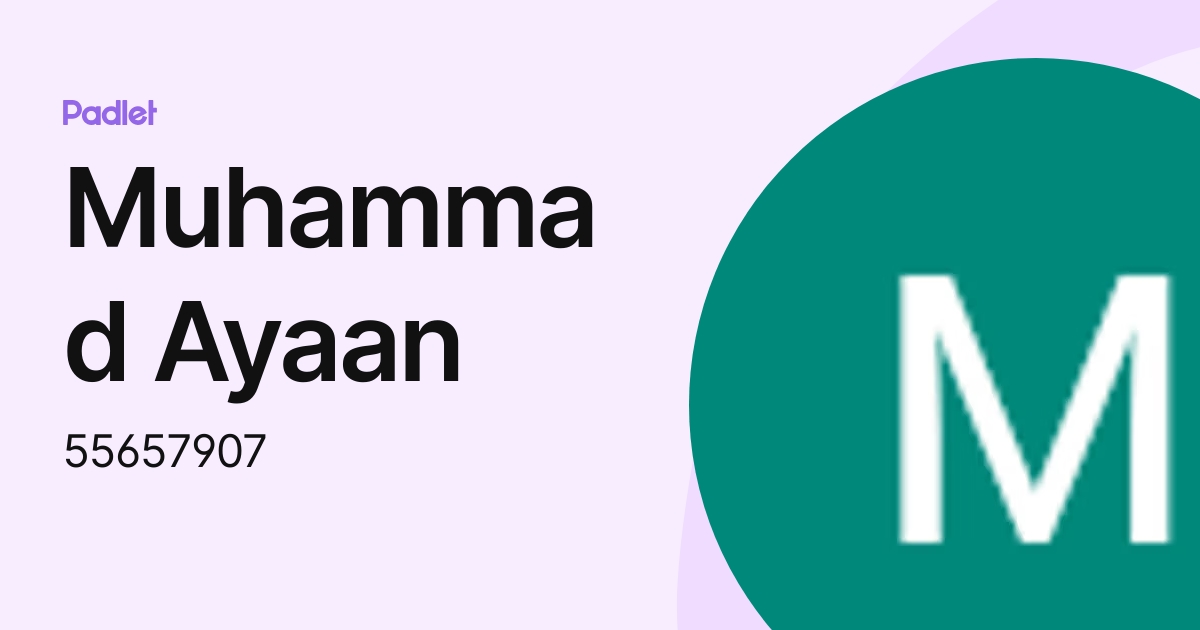 Muhammad Ayaan (55657907) profile | Padlet