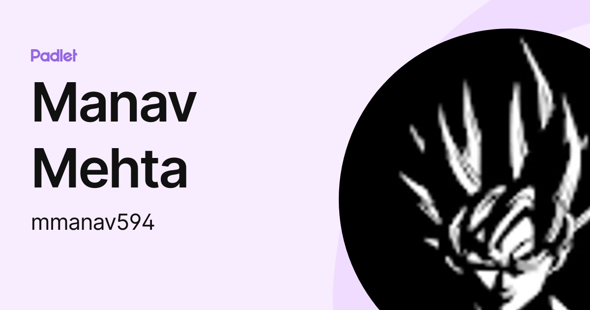 Manav Mehta (mmanav594) profile | Padlet