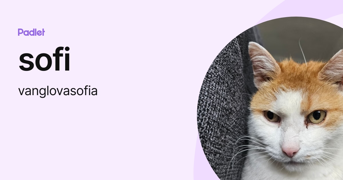 sofi (vanglovasofia) profile | Padlet