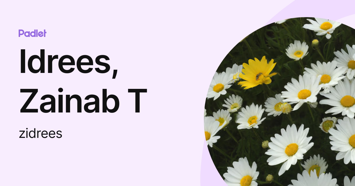 Idrees, Zainab T (zidrees) profile | Padlet