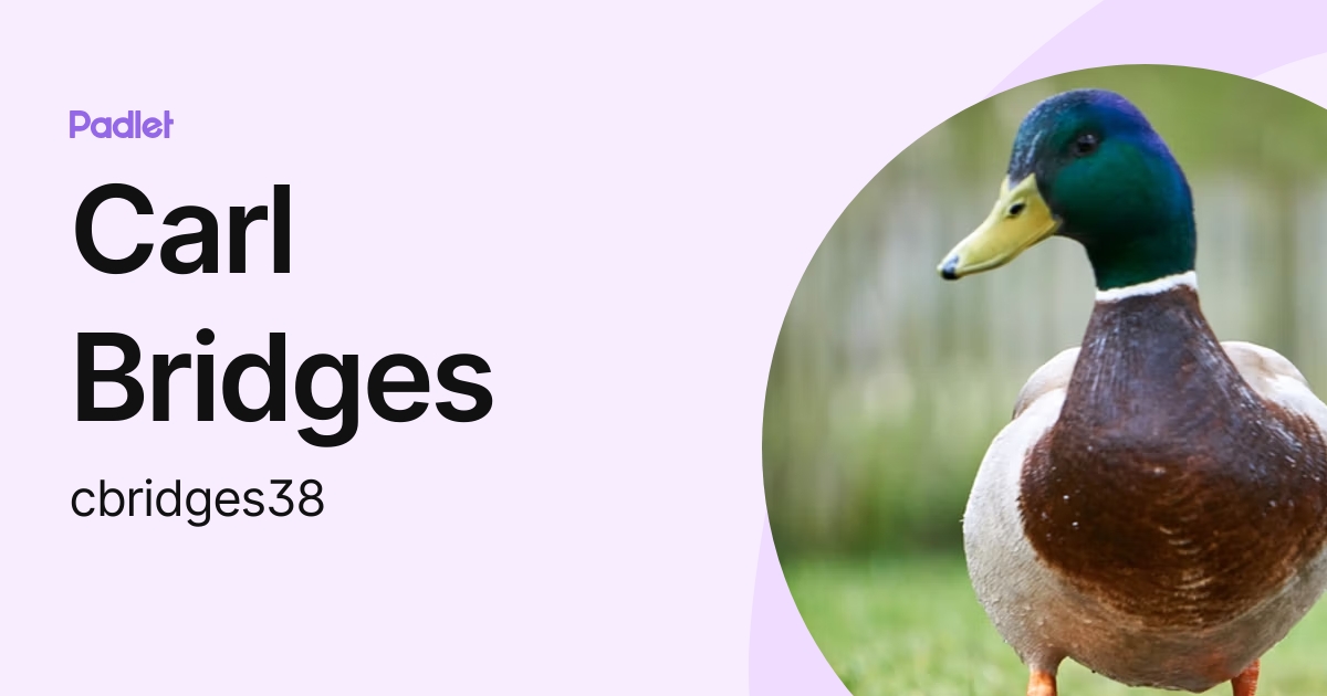 Carl Bridges (cbridges33) profile | Padlet