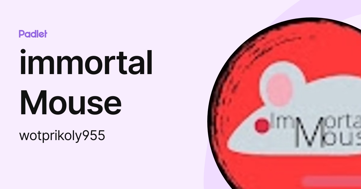 immortal Mouse (wotprikoly955) profile | Padlet