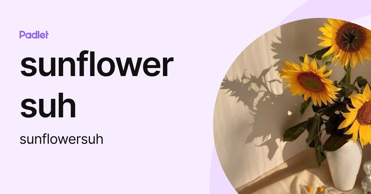 sunflower suh (sunflowersuh) profile | Padlet