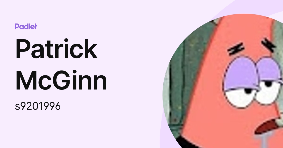 Patrick McGinn (s9201996) profile | Padlet