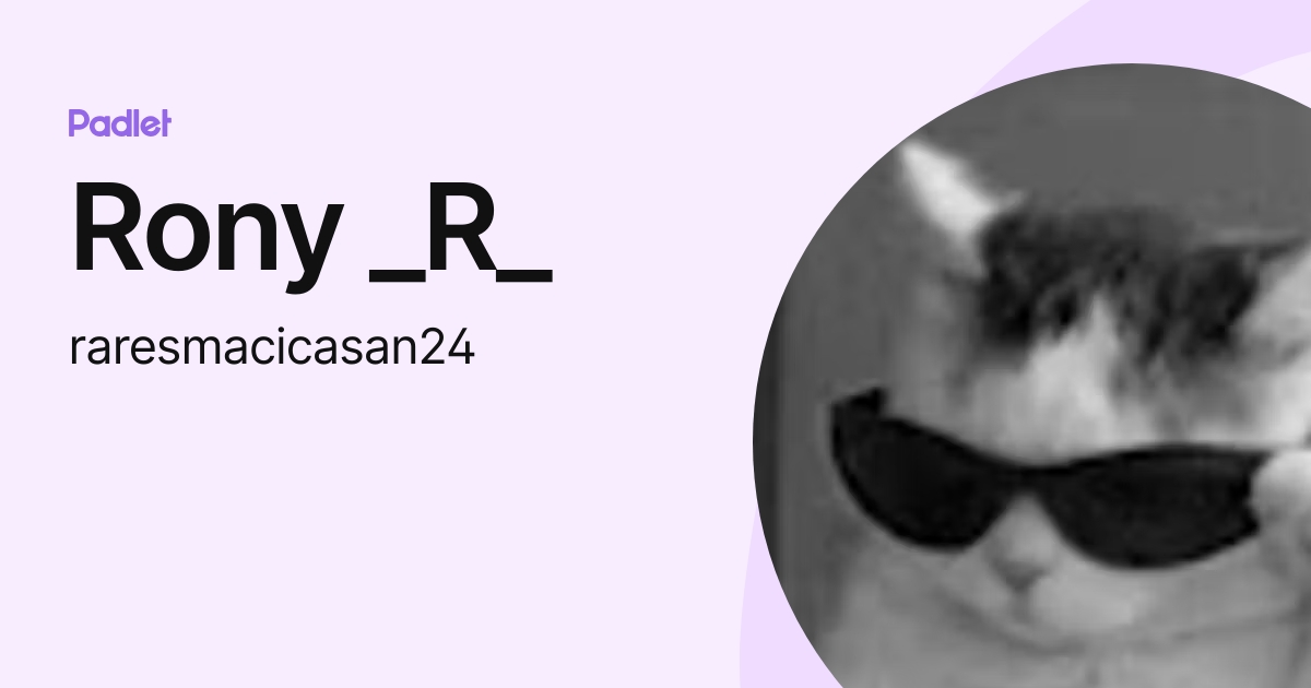 Rony _R_ (raresmacicasan24) profile | Padlet
